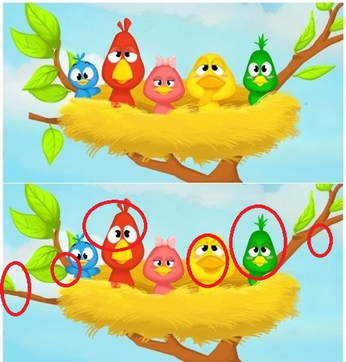 Spot The Difference: Can you spot 6 differences between the two ...