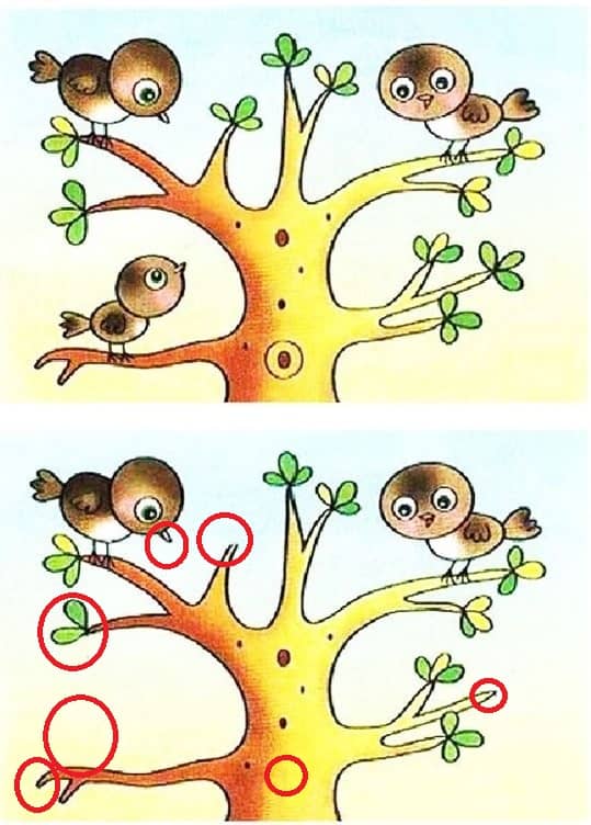 Spot The Difference: Can you spot 7 differences between the two ...