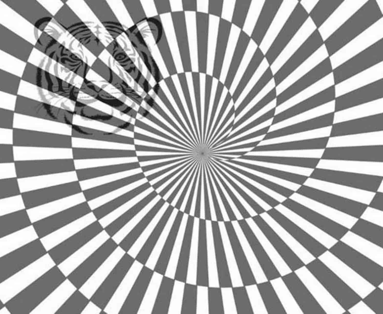 Optical Illusion: Can you spot the hidden tiger in the picture within 8 ...