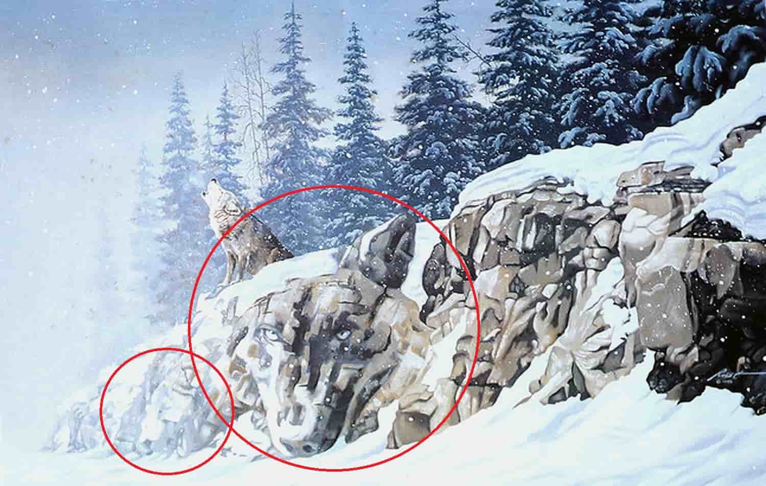 Hidden Animal Optical Illusion: Can you spot two hidden wolves in the ...