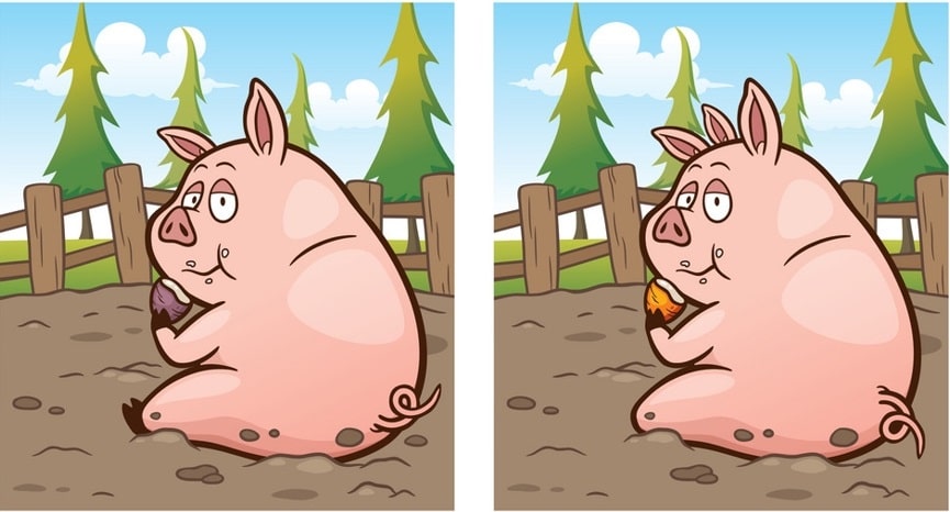 Spot the Difference: Can You Spot 4 Differences Between the Two Pig in ...