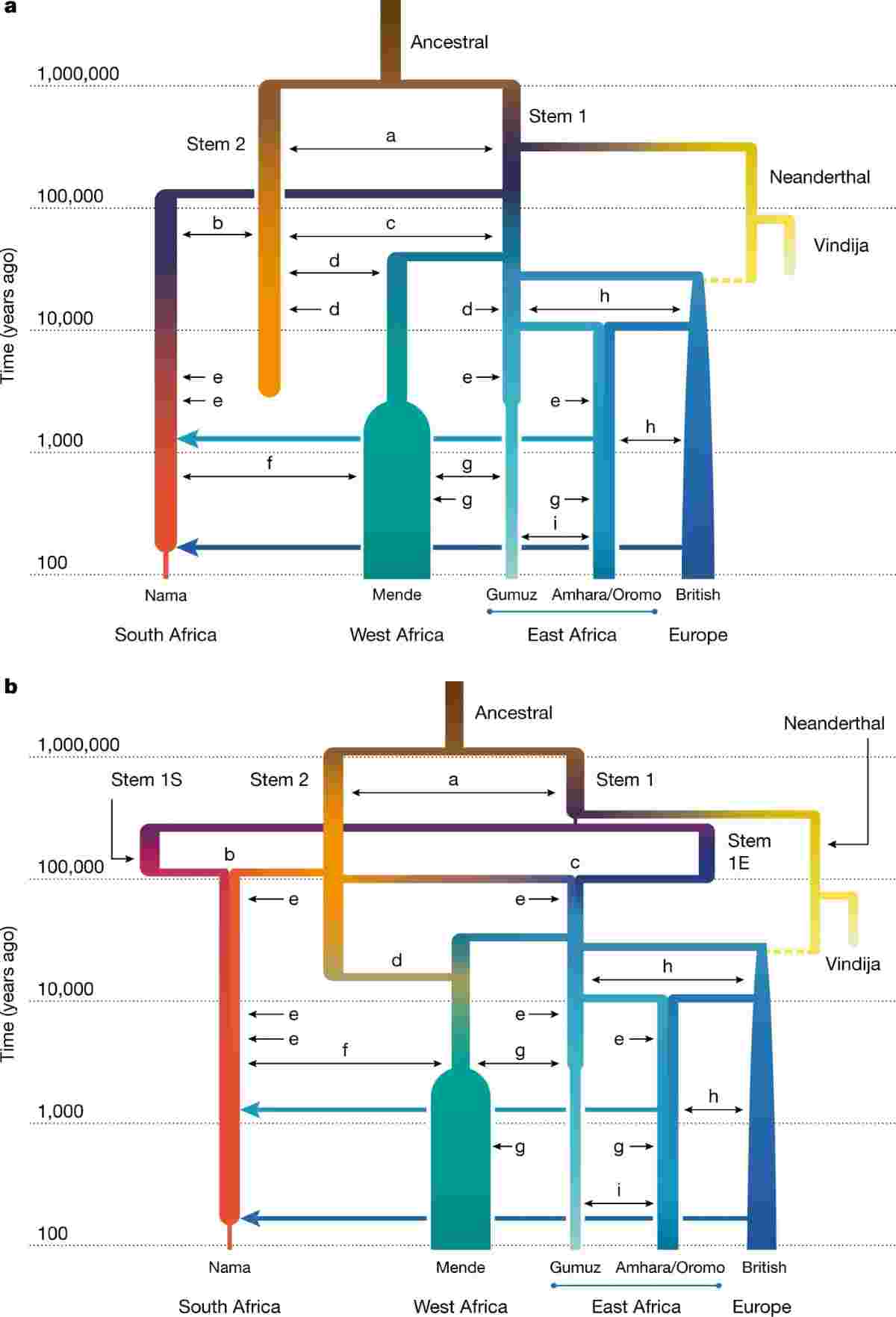 New Genome Data Challenges Traditional View of Human Evolution
