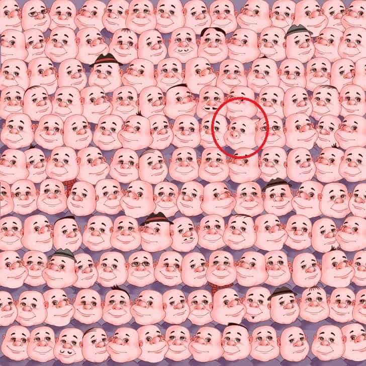 Optical Illusion: You have hunter’s eyes if you can spot a pig among ...