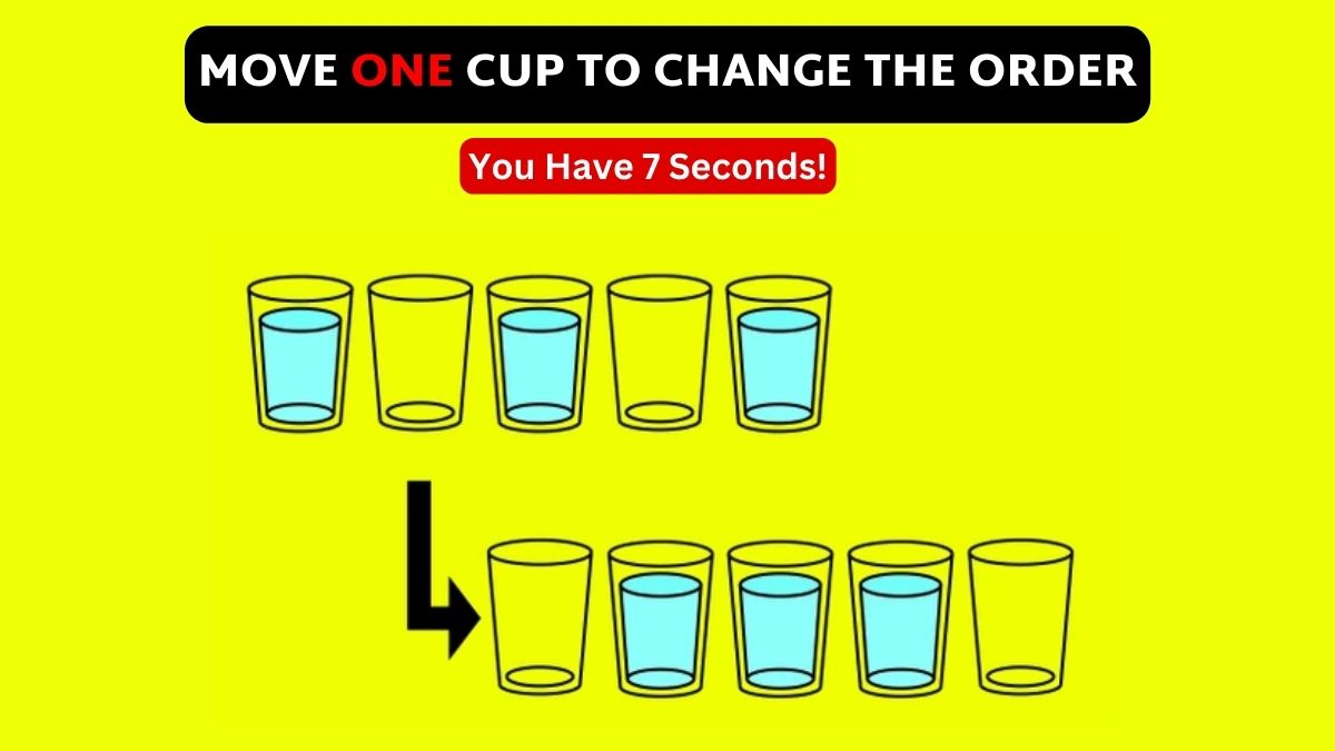Brain Teaser Puzzle Change The Order Of The Cups By Moving Only 1 Cup In 7 Seconds