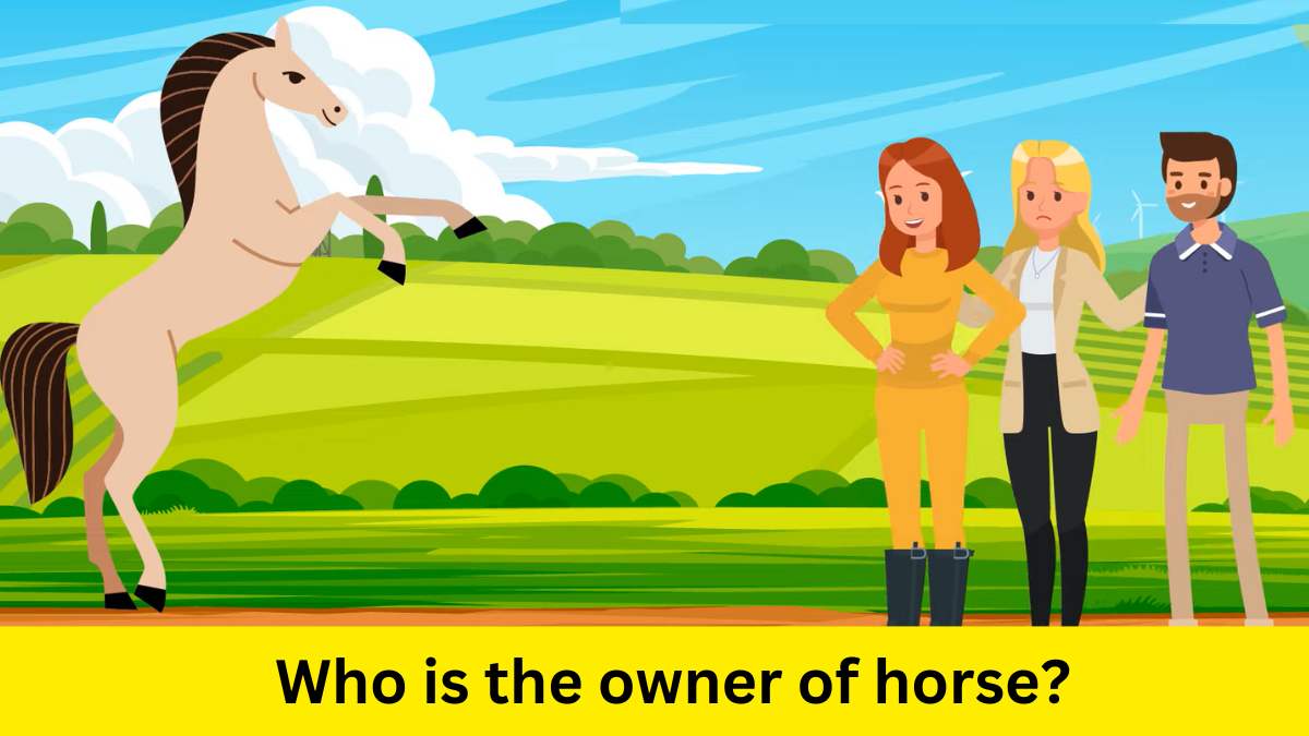 Test your investigative skills by finding the owner of the horse in the ... Test your investigative skills by finding the owner of the horse in the ...