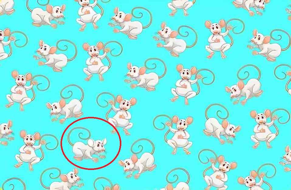 Seek and Find: Can you find the mouse with white ears in 5 seconds?