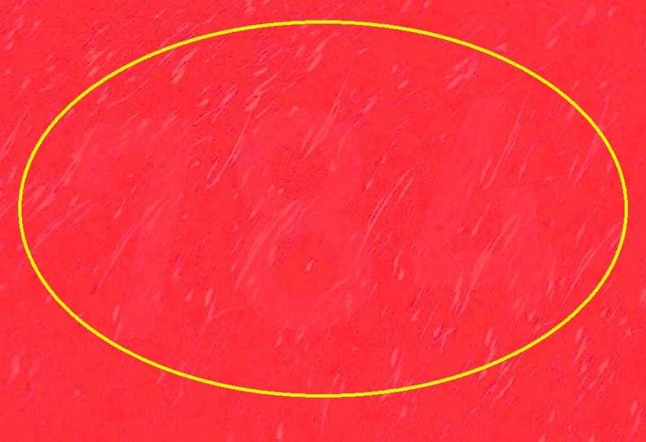 Optical Illusion: Can you spot the hidden number in 5 seconds?
