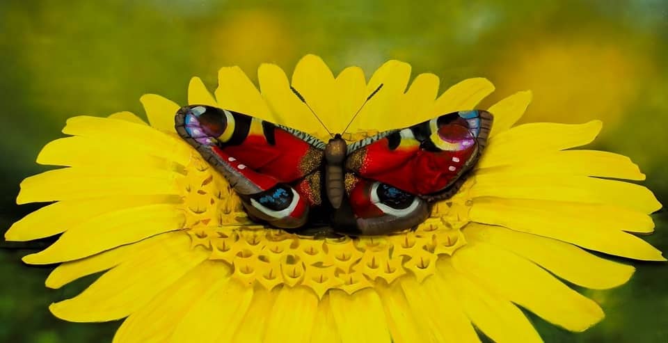 Optical Illusion: Only a genius can spot the hidden woman in the flower ...