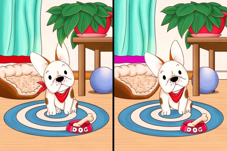 Spot The Difference How Attentive Are You Prove Yourself By Finding 5