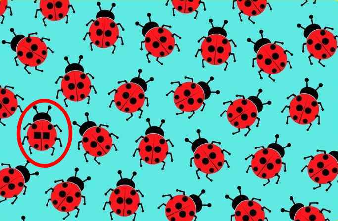 You have eyes as sharp as an eagle if you can spot the different ...