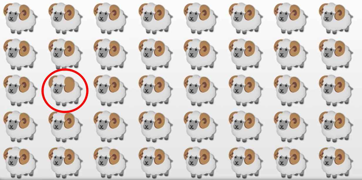 You have HD eyes if you can spot the different sheep in 7 seconds!