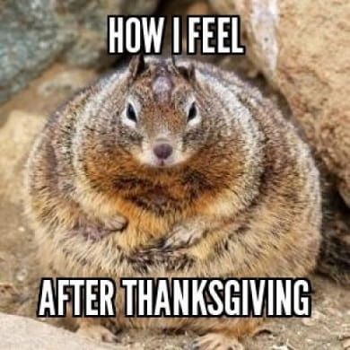 11 Funny Thanksgiving Memes And Jokes To Share With Friends And Family