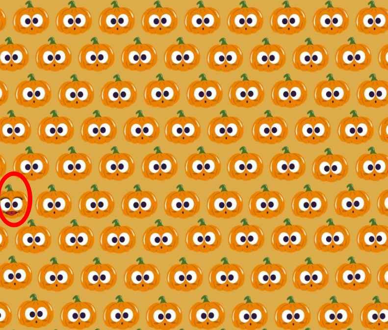 You have high attention to detail if you can spot the stylish pumpkin ...