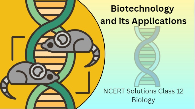 NCERT Solutions for Class 12 Chapter 10 Biotechnology and its ...