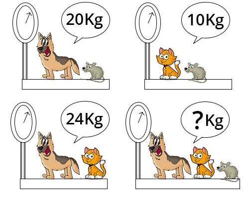 Genius IQ Test: Find the weight of all the animals in 11 seconds!