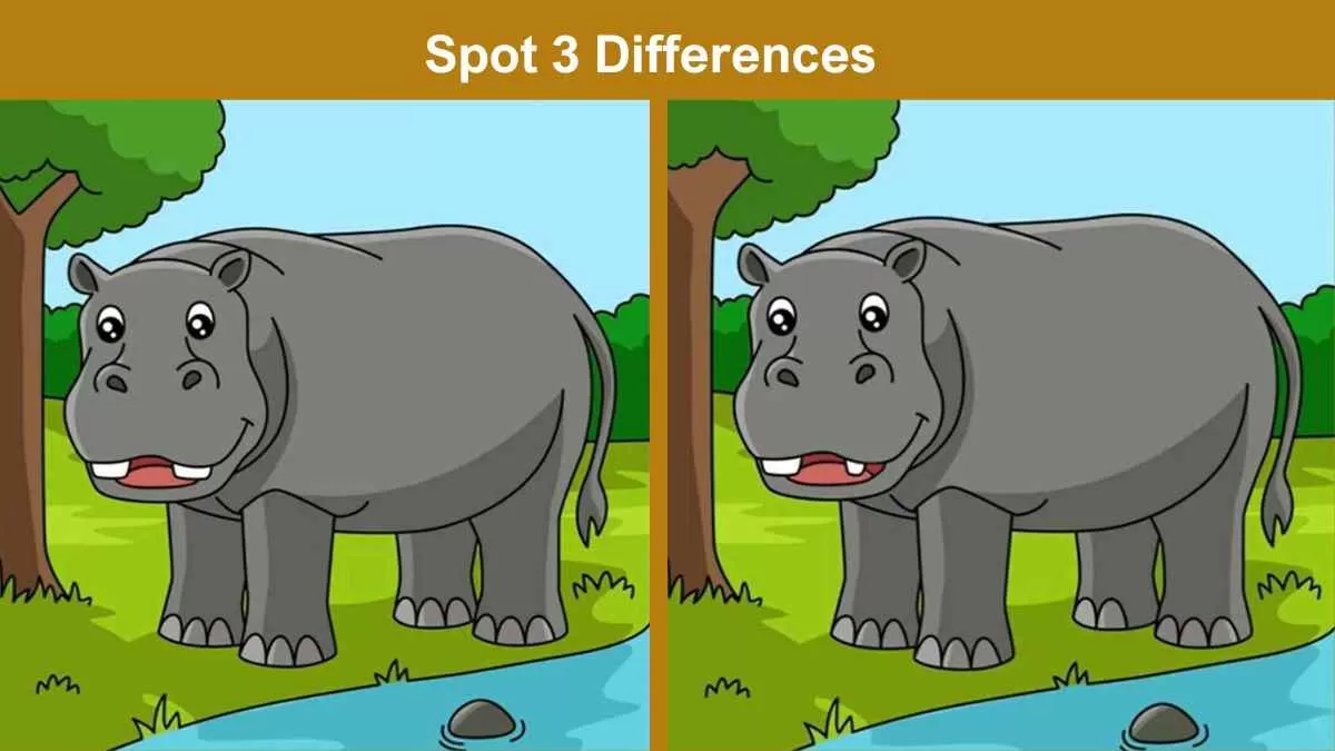 Only The Sharpest Pair Of Eyes Can Spot 3 Differences Between The Hippo