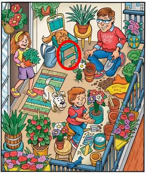 You have 20/20 vision if you can spot the pencil in the balcony in 6 ...