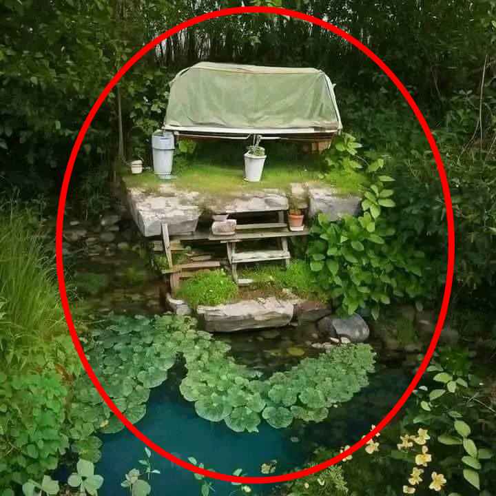 You have high definition vision if you can spot the hidden footballer ...