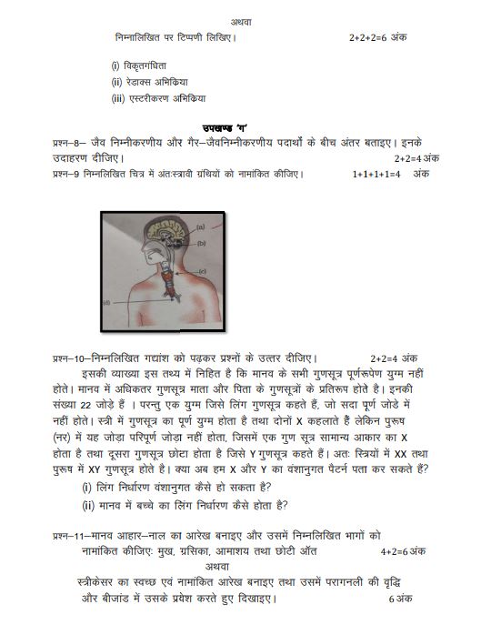 UP Board 10th Science Model Paper 2024: Download Class 10 Science ...