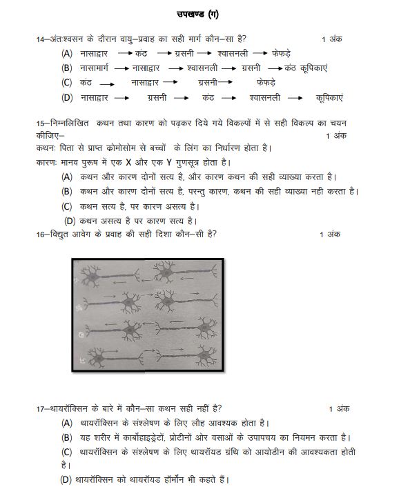 UP Board 10th Science Model Paper 2024: Download Class 10 Science ...