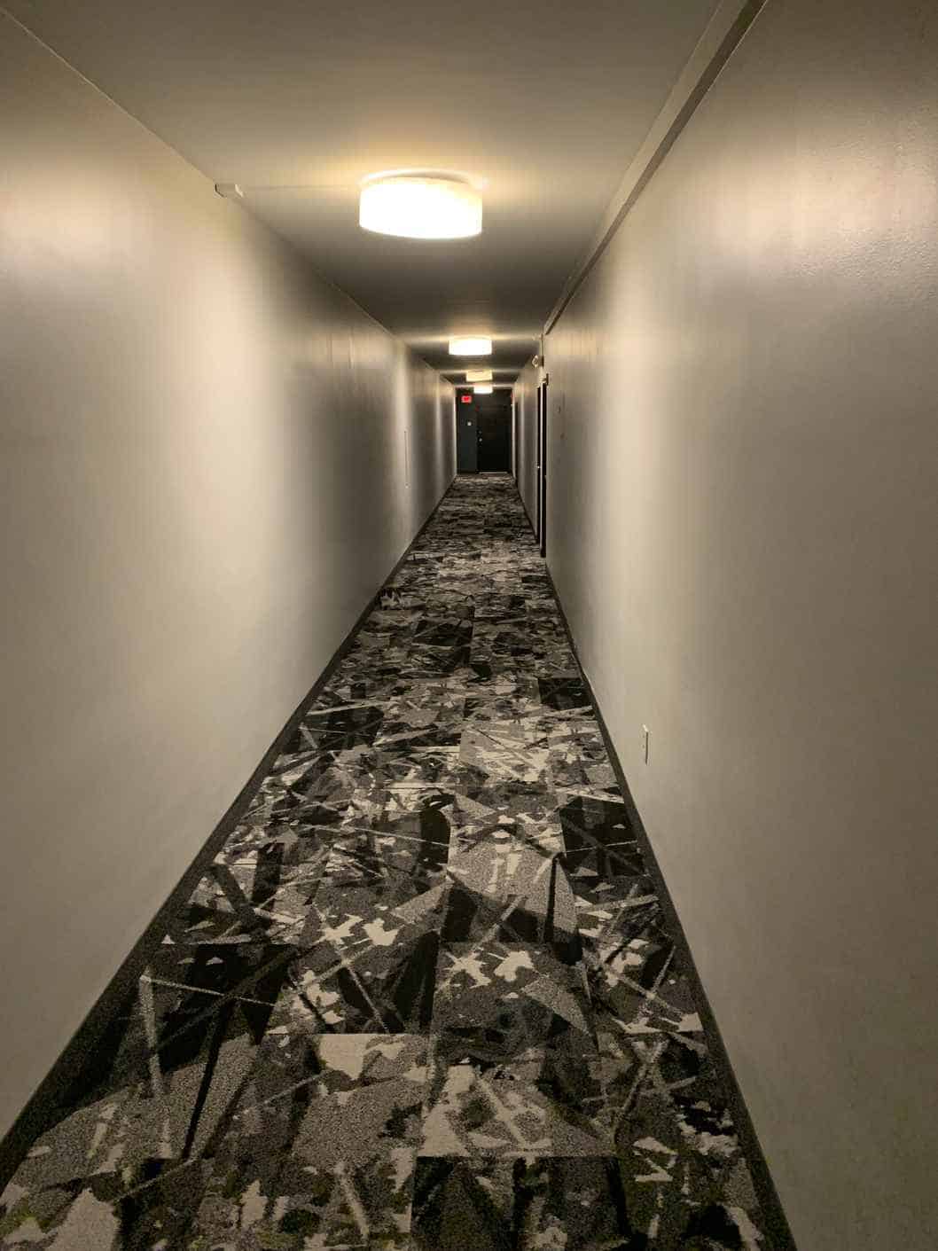 You have magic eyes if you can spot the hidden cat in the hallway in 6 ...