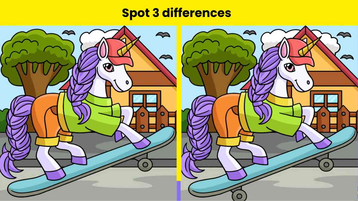Spot 3 Differences In The Unicorn Picture In 8 Seconds
