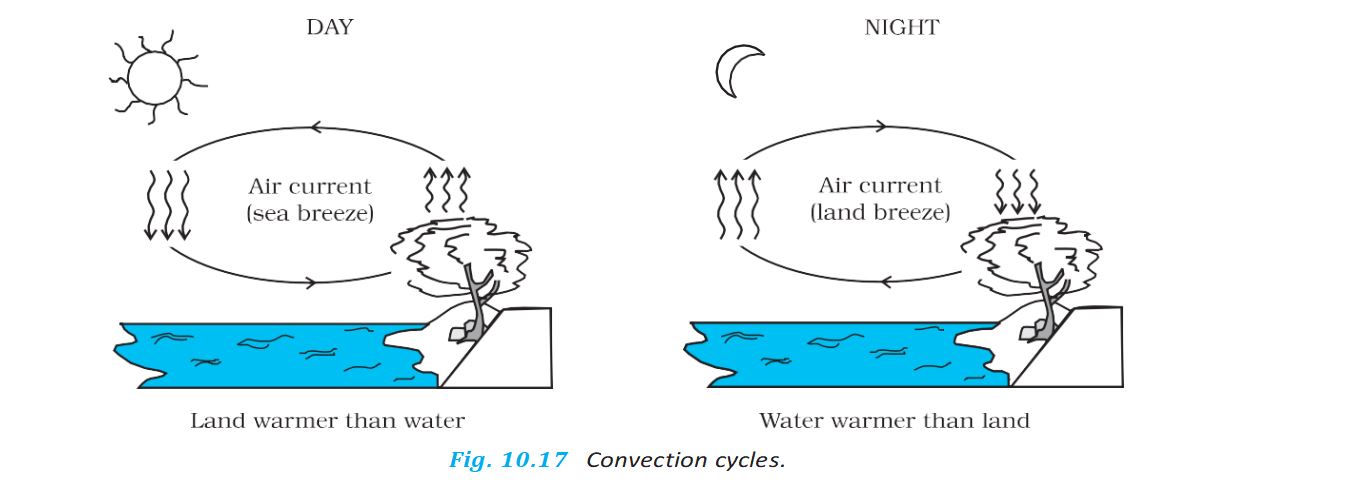 CBSE Class 11 Physics Thermal Properties of Matter: Formula List ...