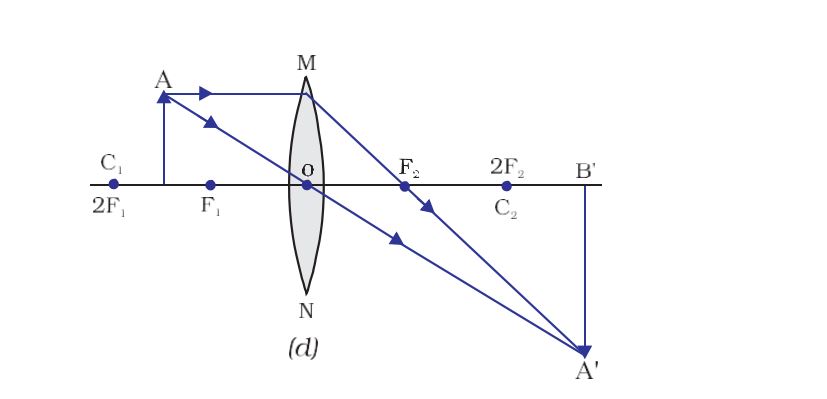 Difference between Concave and Convex Lens? Know About Concave Lens vs ...