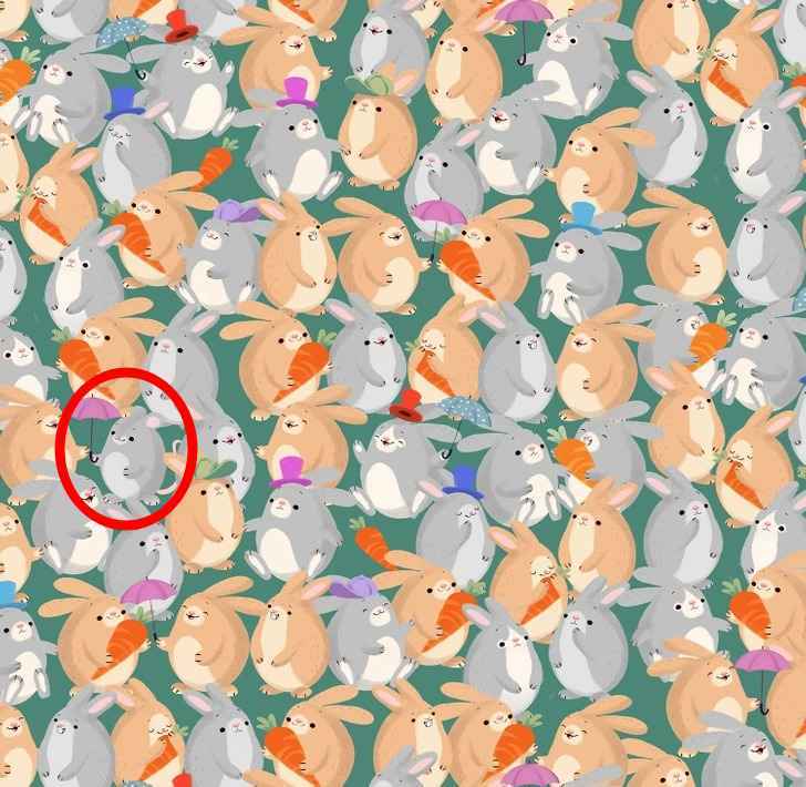 Optical Illusion to Test Your Visual Intelligence: Find the hidden ...