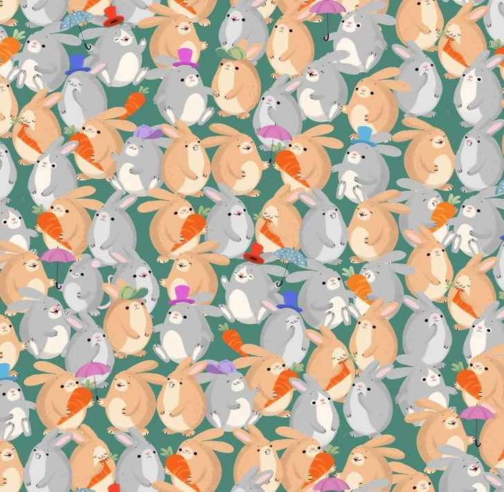 Optical Illusion to Test Your Visual Intelligence: Find the hidden ...