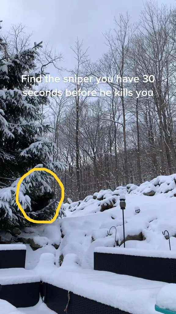 Can you spot the sniper hidden in the snow in this optical illusion ...