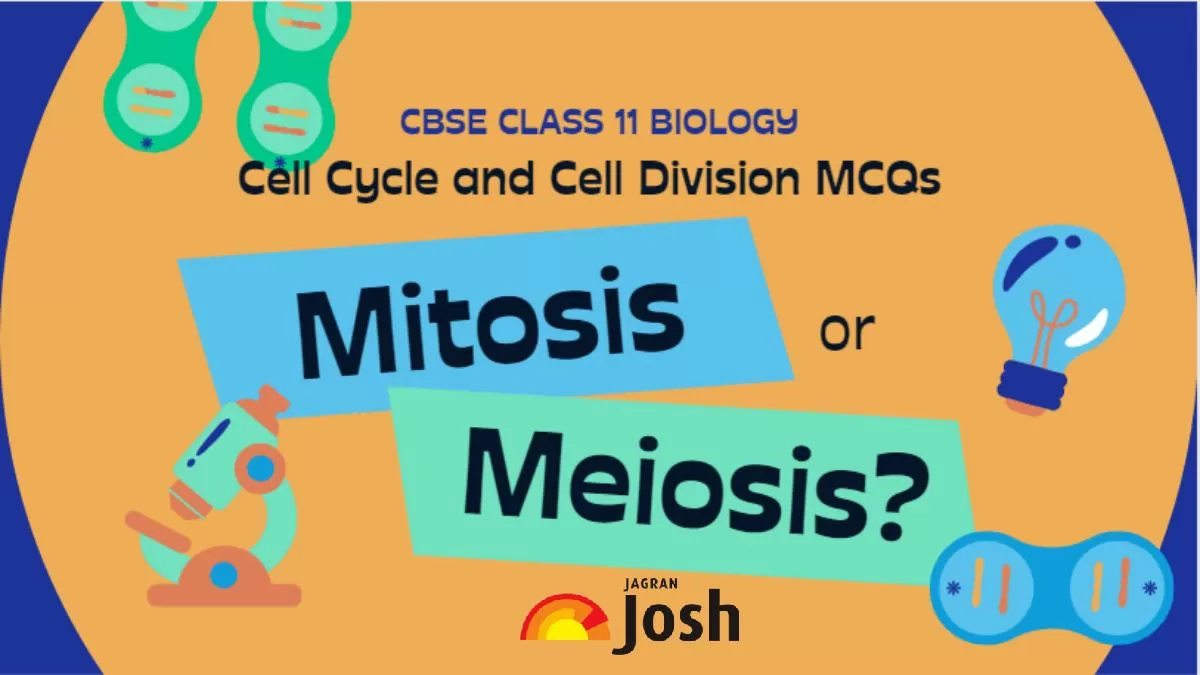 Cell Cycle And Cell Division Class 11 MCQs CBSE Biology Chapter 10 Cell Cycle And Cell Division Class 11 MCQs CBSE Biology Chapter 10
