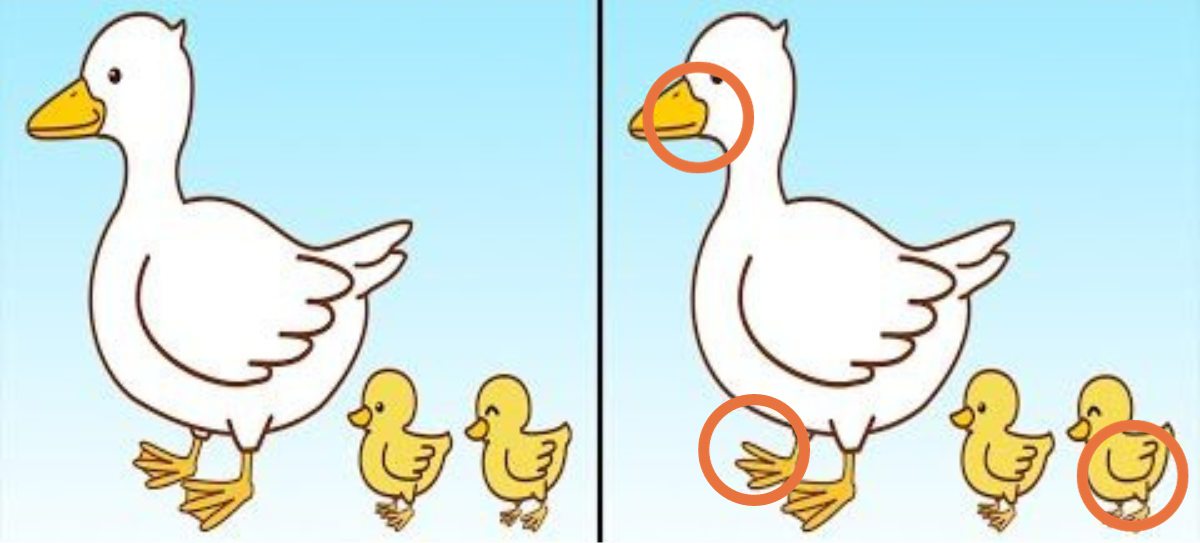 How attentive are you? Spot 3 differences in the duck and duckling ...