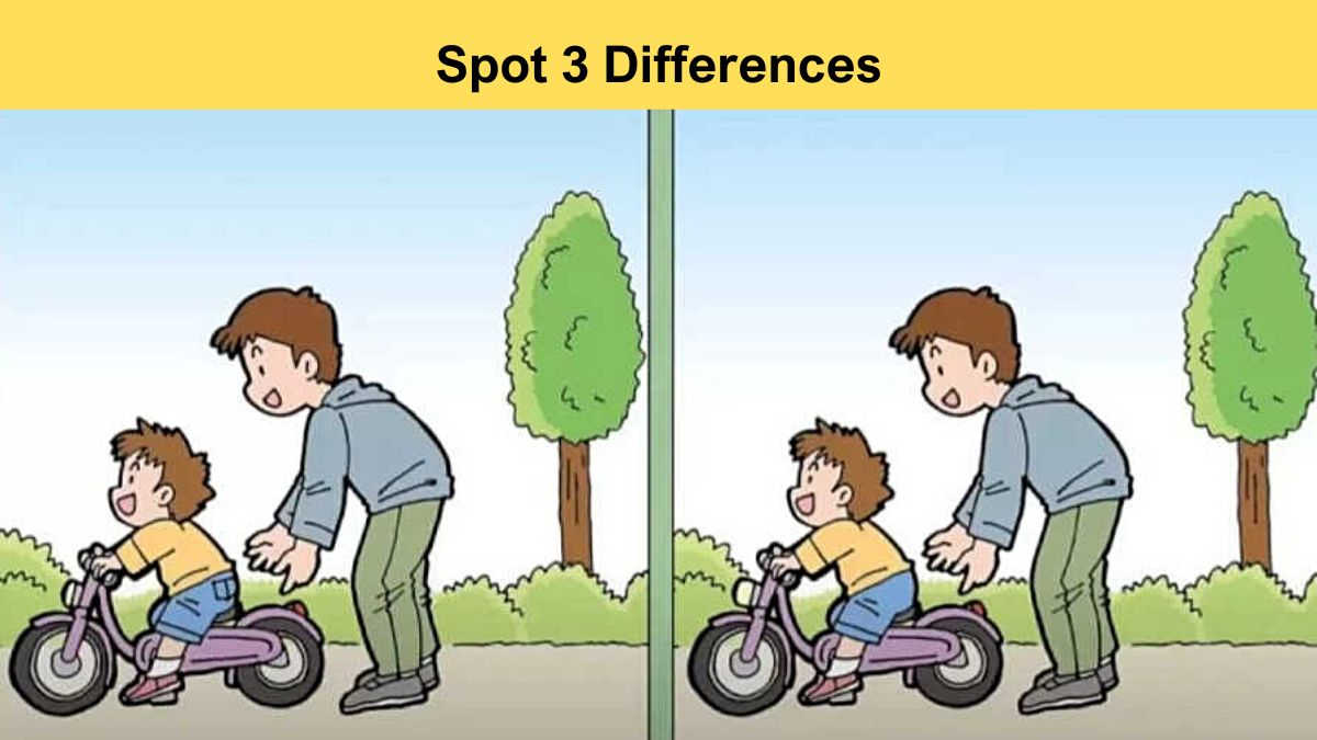 10 Super Fun Spot the Difference Puzzles to Test Your Visual Skills!