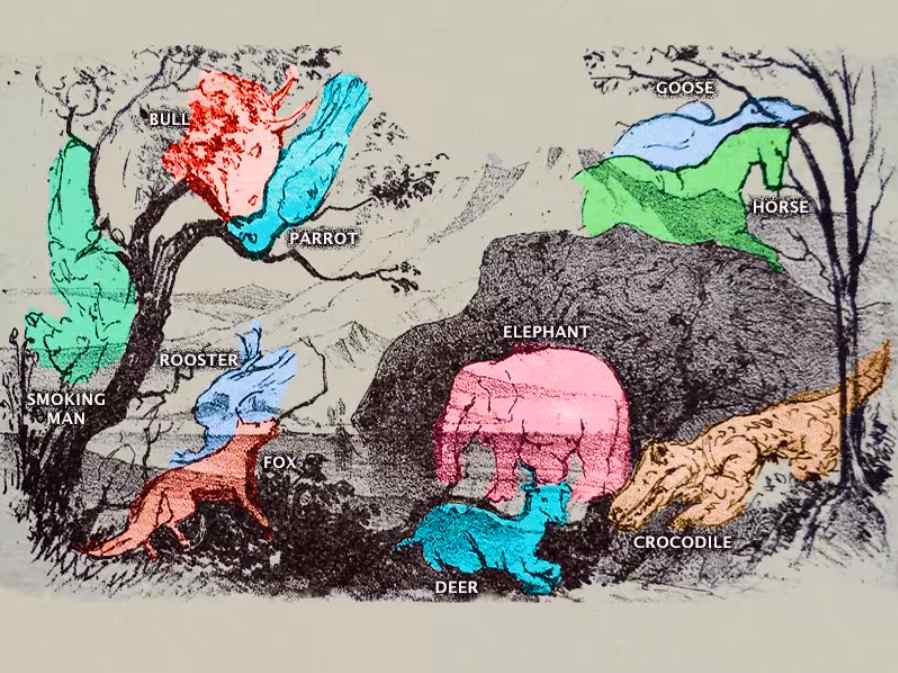 You have exceptional observation skills if you can spot 10 animals ...