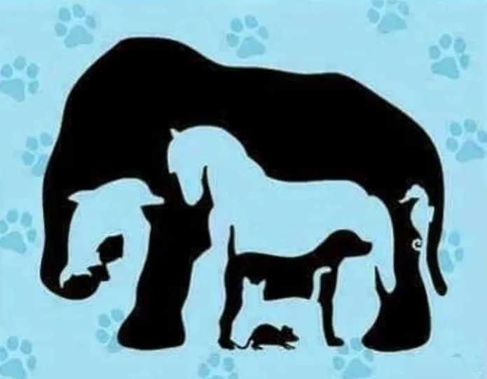 Brain Teaser to Test Your Attentiveness: Find all the hidden animals in ...