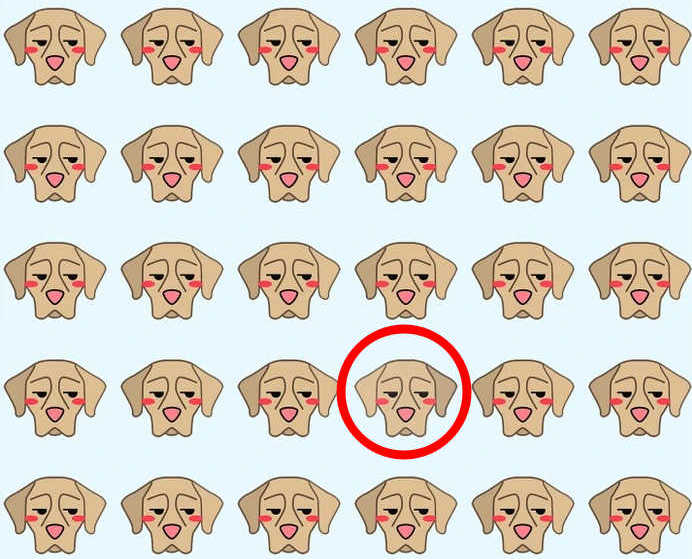 Seek and Find Puzzle: Find the Odd Dog in 4 Seconds!