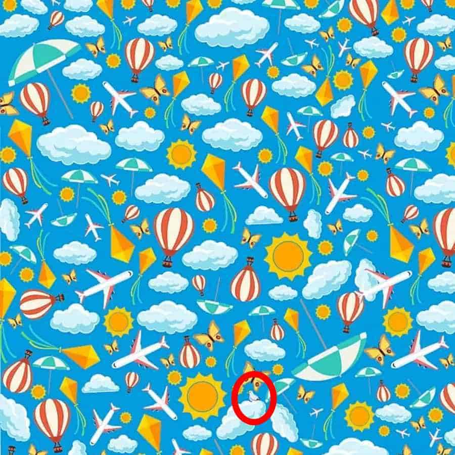 Seek and Find: You have razor-sharp eyes if you can find the hidden ...