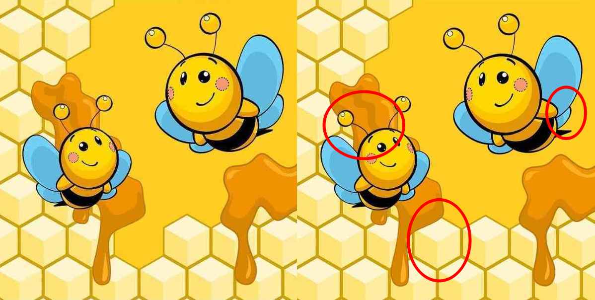 Find 3 differences between the honeybee pictures in 14 seconds!