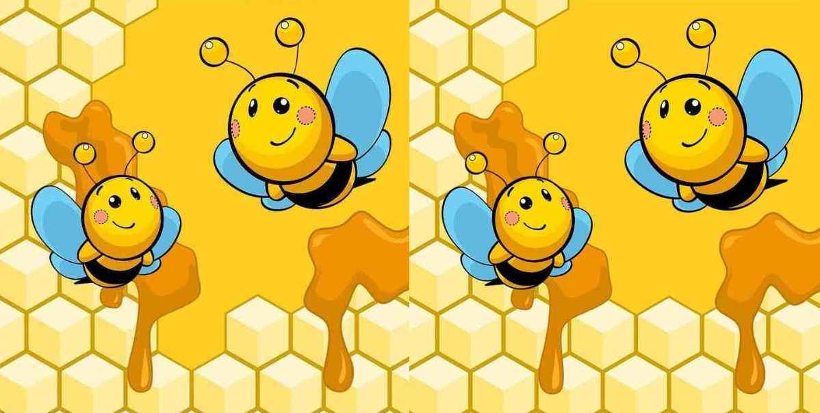 Find 3 differences between the honeybee pictures in 14 seconds!