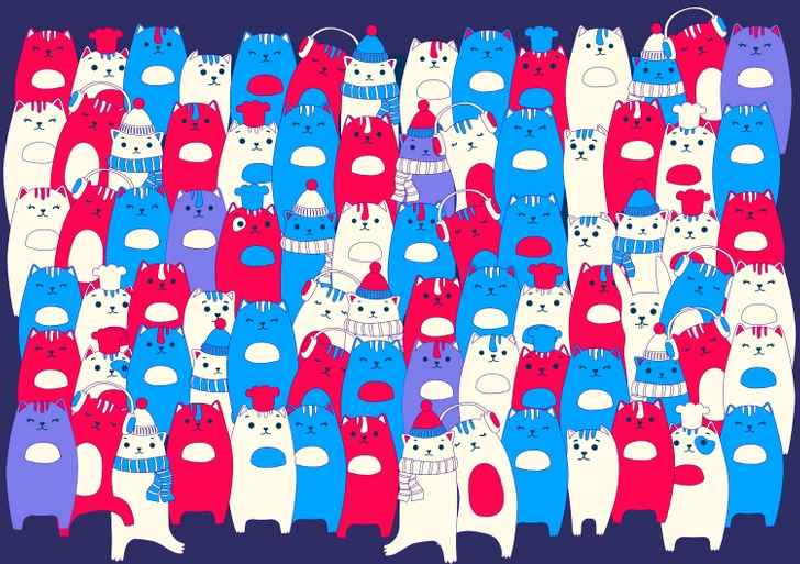 Only eagle eyes can find the rabbit among cats in 6 seconds!