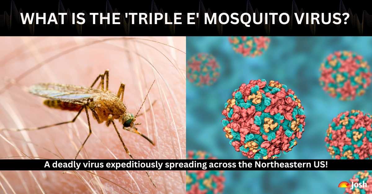 What is the 'Triple E' mosquito virus? Find out what its symptoms are ...