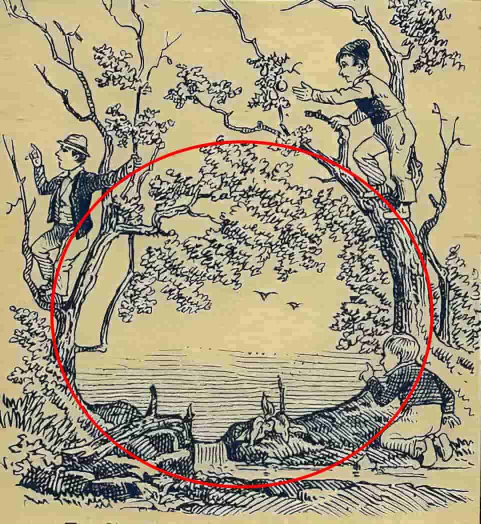 Optical Illusion: You Have a High IQ and Sharp Eyes if You Can Find the ...