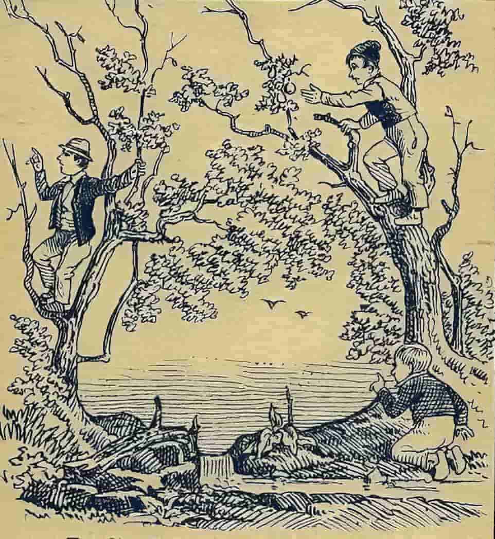 Optical Illusion: You Have a High IQ and Sharp Eyes if You Can Find the ...