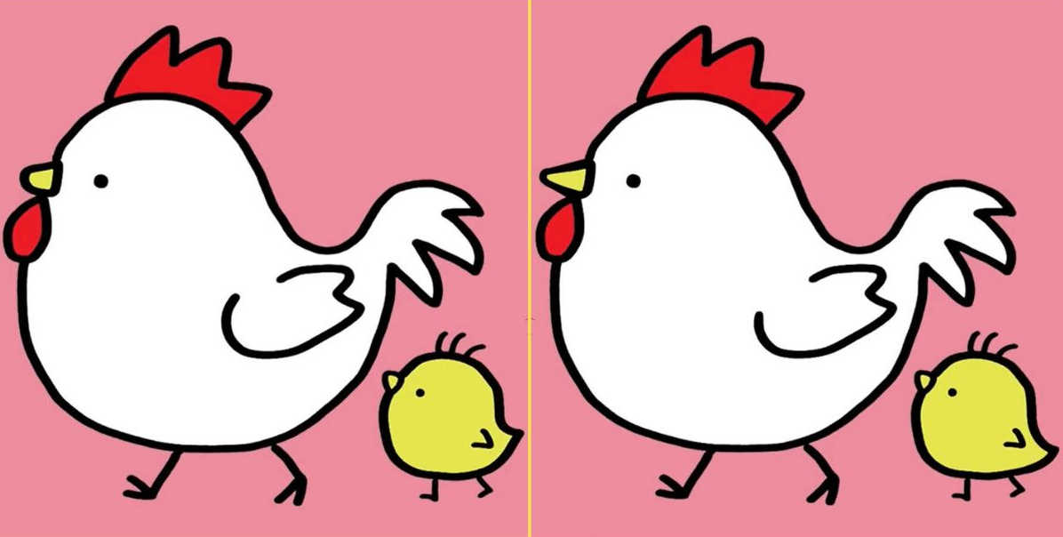 Spot 3 Differences Between the Pictures of a Hen and Her Chick in 15 ...
