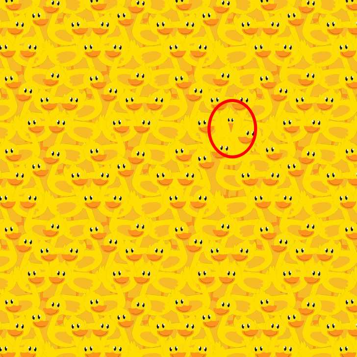 Optical Illusion: Find the Chicken among Ducks in 7 Seconds!