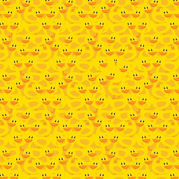 Optical Illusion: Find the Chicken among Ducks in 7 Seconds!