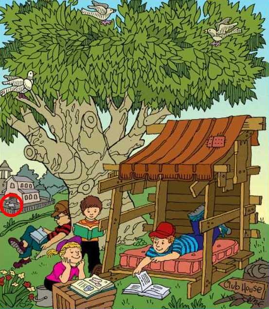 Optical Illusion: Only eagle eyes can find the dog in 4 seconds!