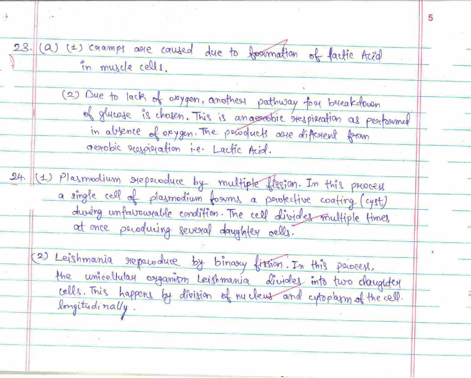 CBSE Topper Answer Sheet Class 10 Science: Model Answer Paper by Topper ...