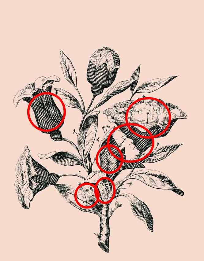 Test your visual prowess by finding six hidden faces in the picture in ...